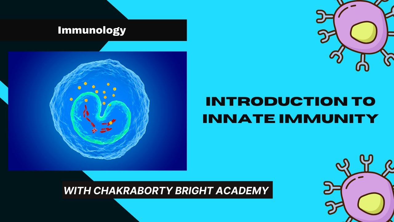 Introduction to Innate Immunity - YouTube