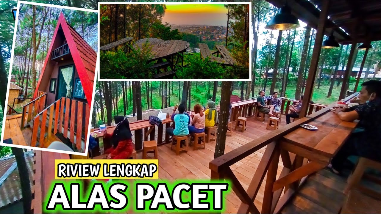 ALAS PACET MOJOKERTO // rute,menu,view,fasilitas - YouTube