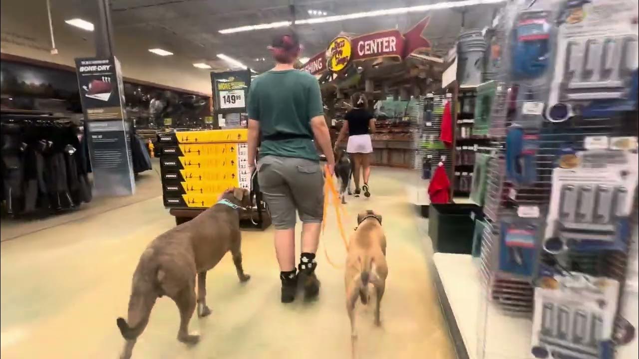 Finn and goober honey bea - YouTube