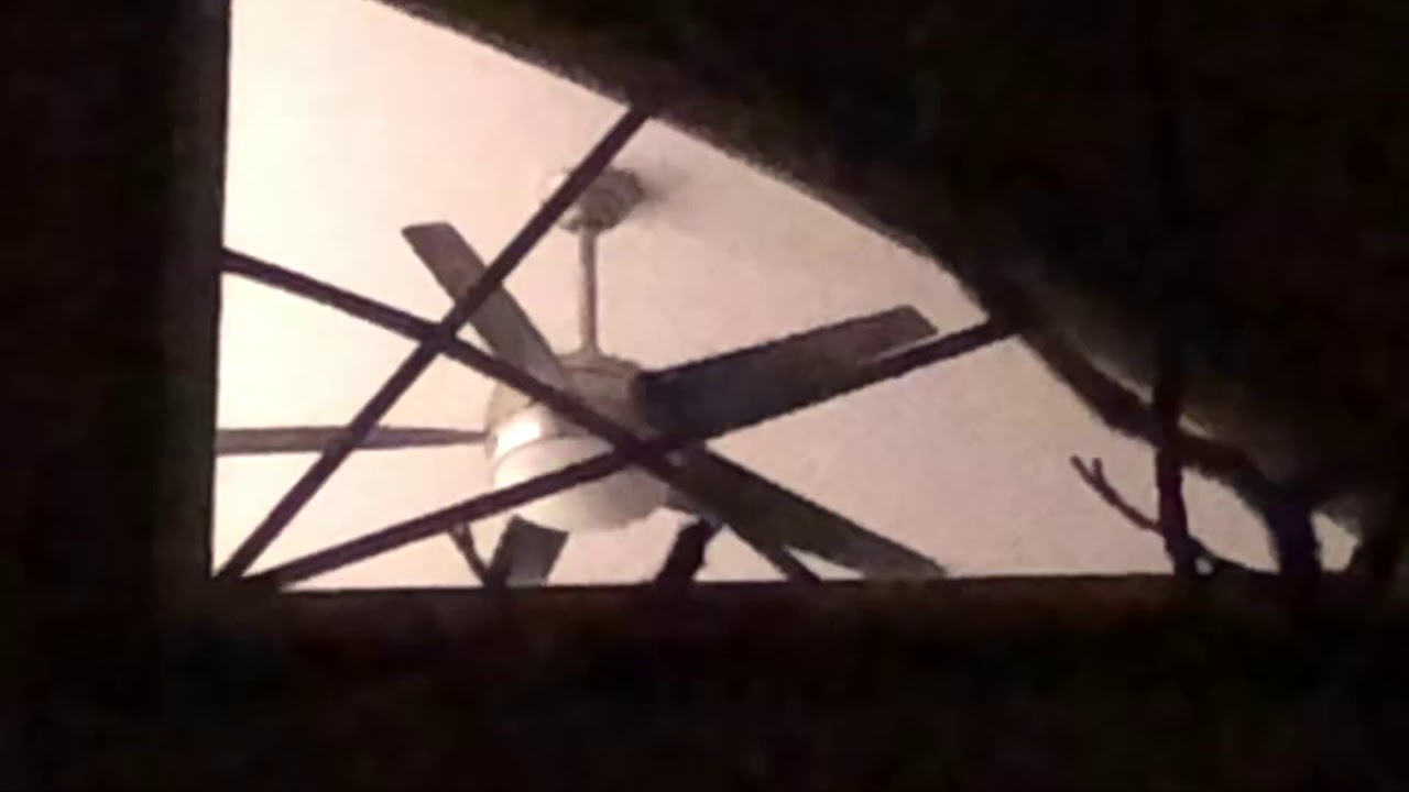 Hampton Bay Windward II Ceiling Fan 54” (Window View) - YouTube