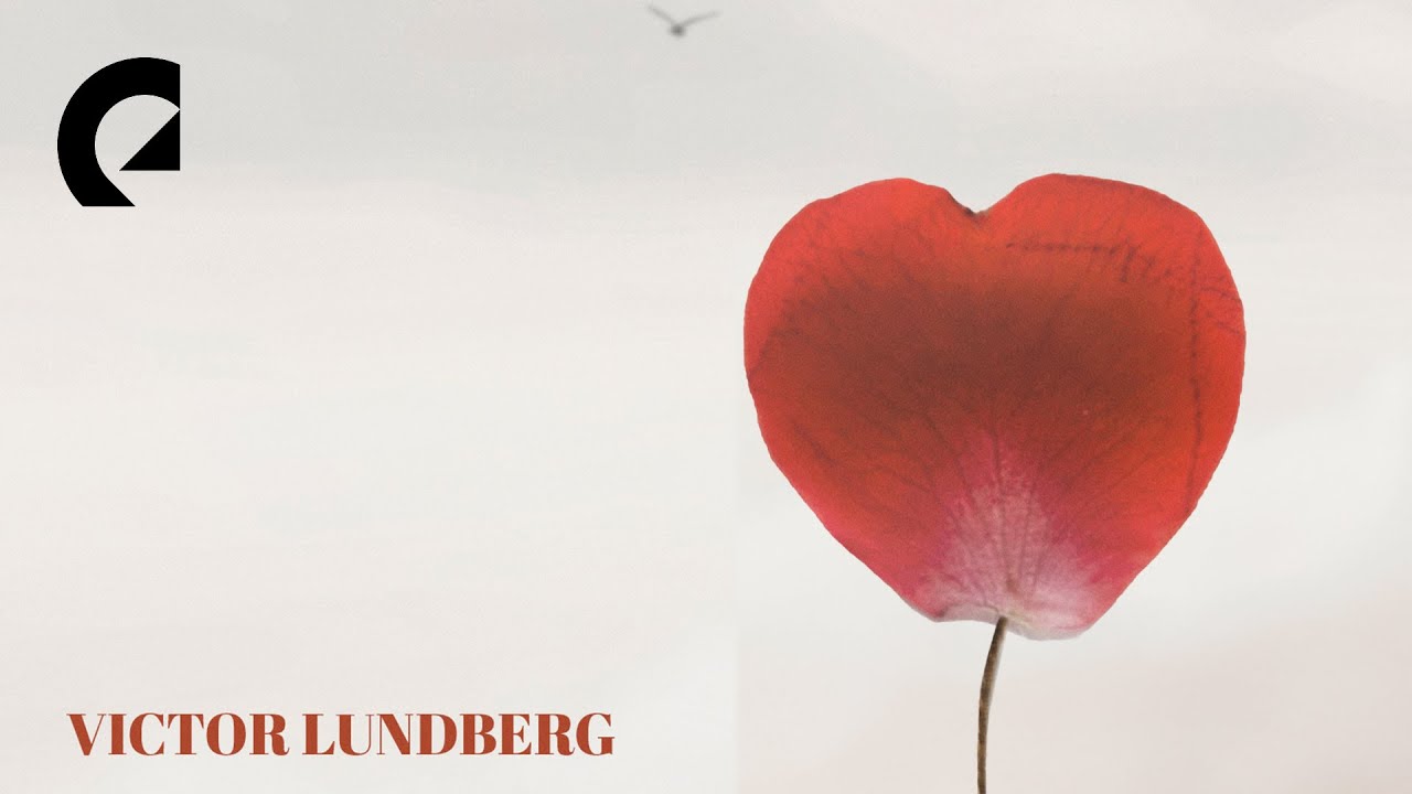 Victor Lundberg - Small Fragile Hearts - YouTube
