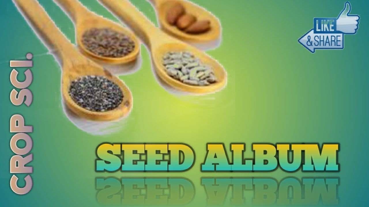 CROP SCIENCE PAPER - 1 & 2 | SEED ALBUM | FULL EXPLAINED - YouTube