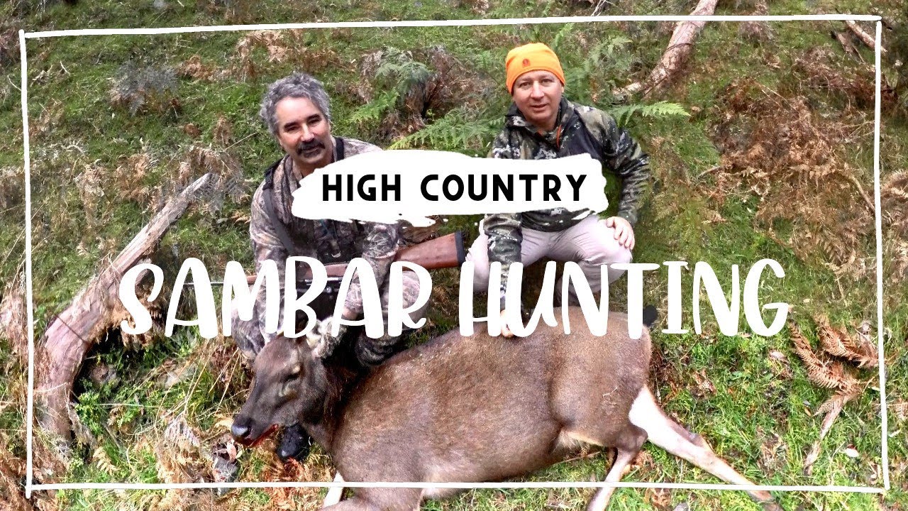 Spring Sambar Deer Hunting in Victoria's High Country with the bow ...