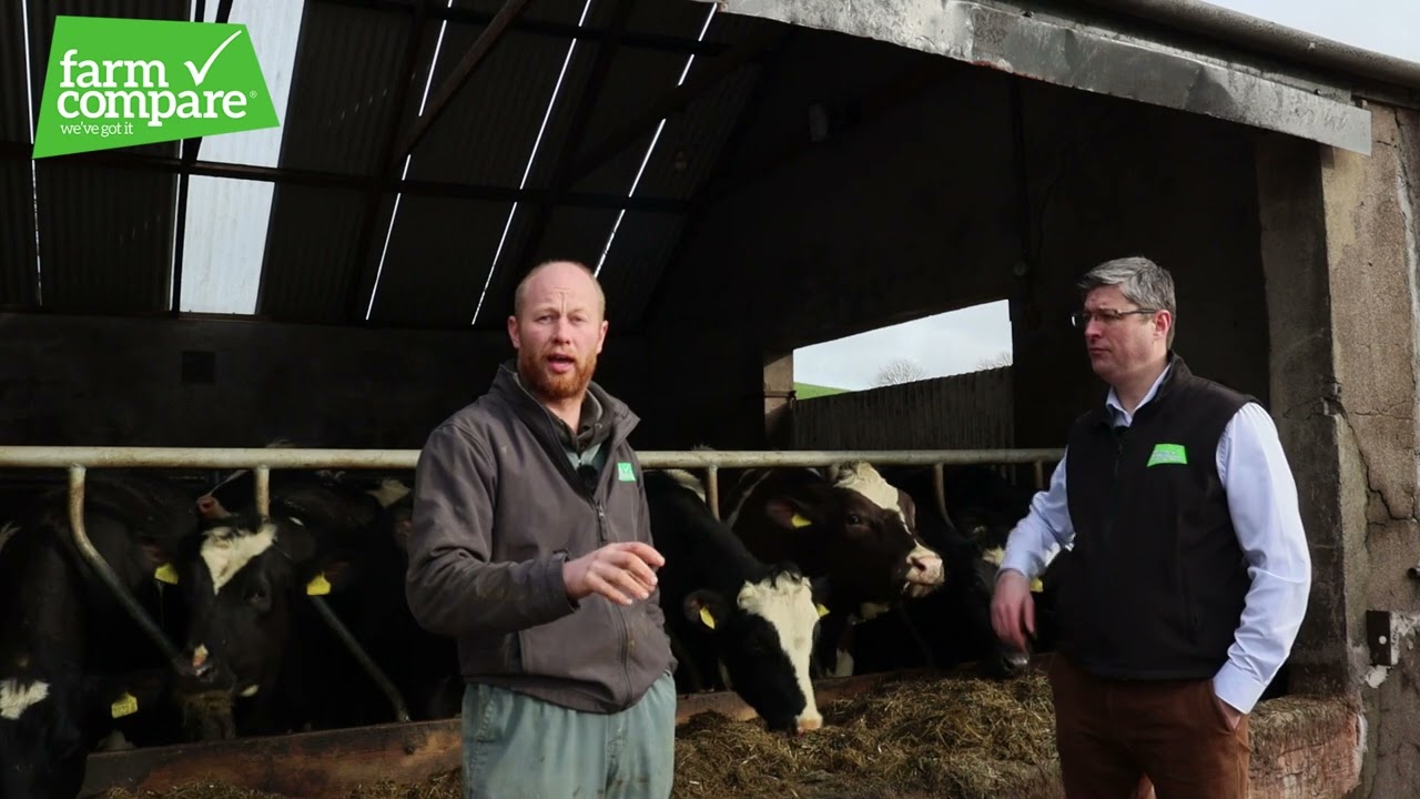 smaXtec Bolus system oin use on farm in Co Tyrone, N.Ireland - YouTube