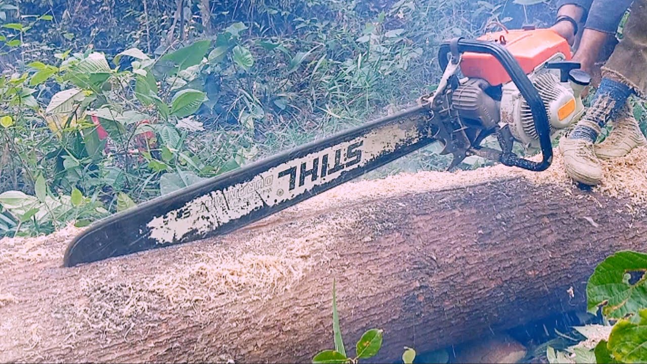 Splitting large logs using a Stihl070 chainsaw - YouTube