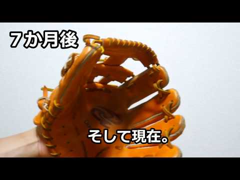 【７か月後】サード用型付け記録 ドナイヤ DJNIM （山田哲人モデル）