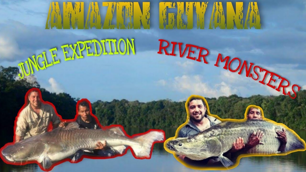 Fishing Guyana for GIANT ARAPAIMA and PIRAIBA! The Largest RIVER ...