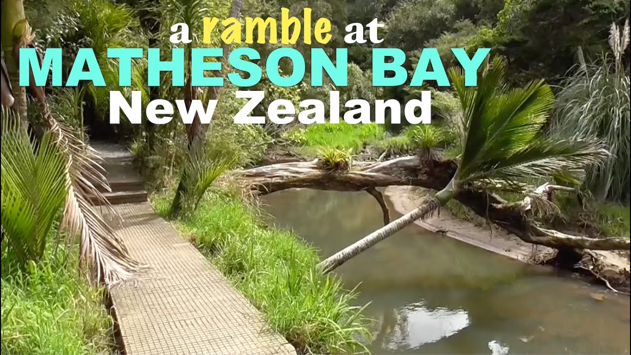 A walk at Matheson Bay | New Zealand - YouTube