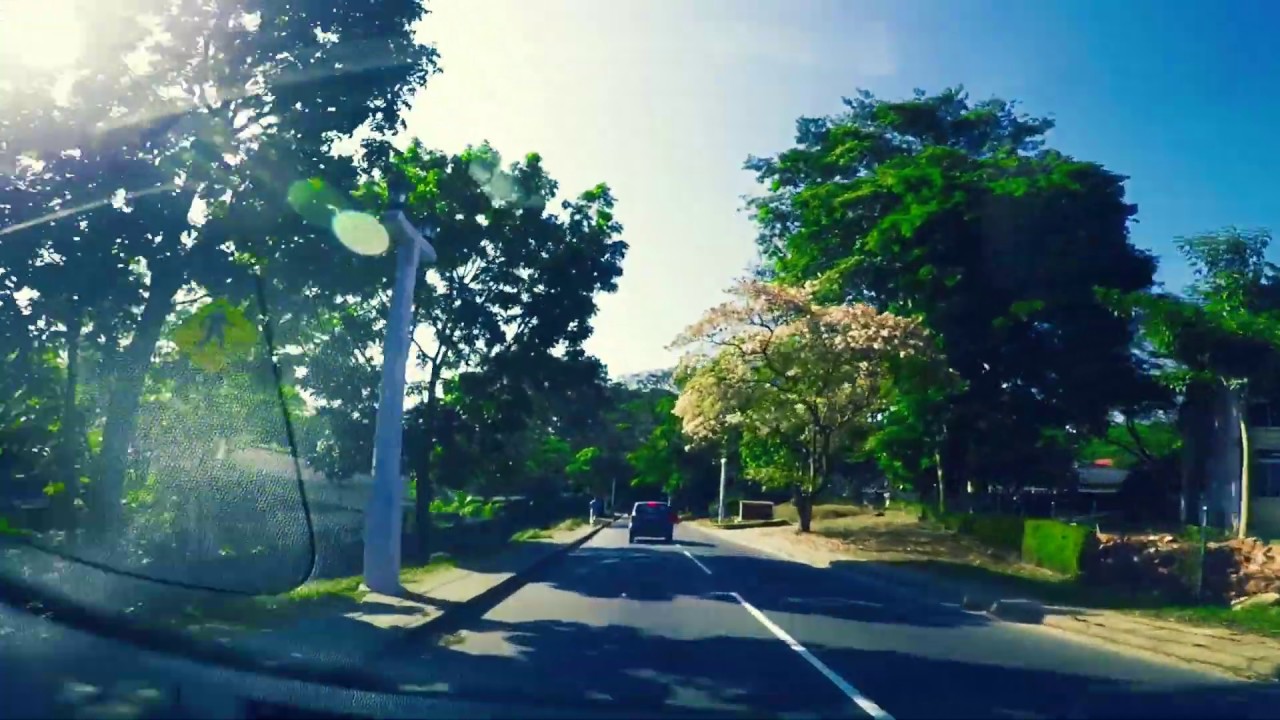 Beauty of Peradeniya-Galaha Road - YouTube