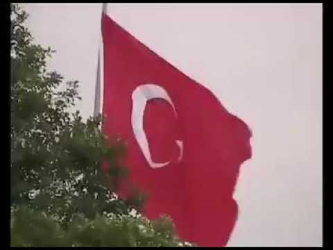 Vefalı Türk Geldi Yine