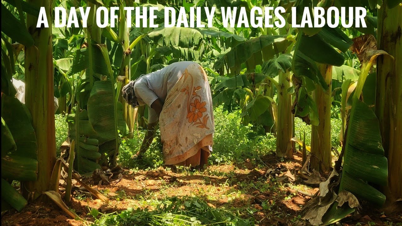 A day of a daily wages labour - Small documentry - YouTube