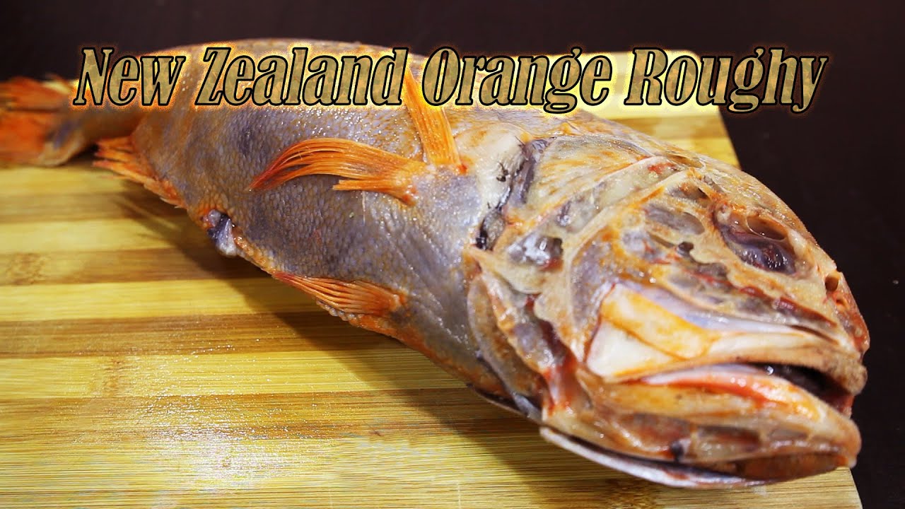 [Orange Roughy] - Filleting, Baking and Boiling Orange Roughy! - YouTube