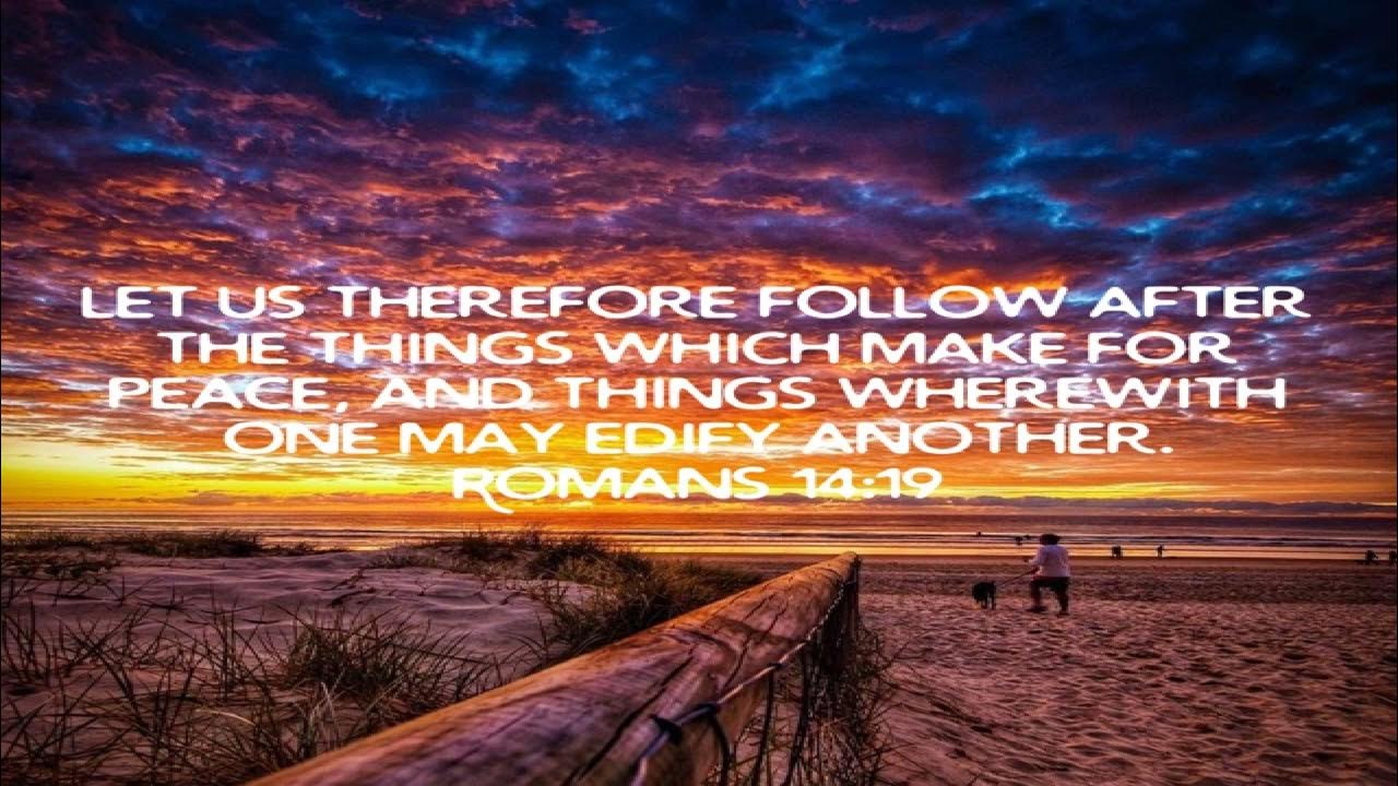 Week 22 A Study In Romans / Build Up One Another - YouTube