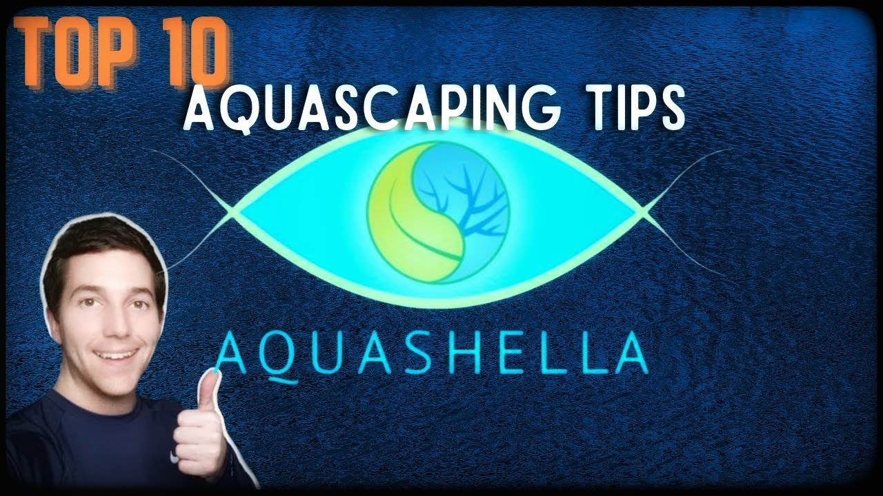 [Top 10] Aquascaping Tips by Aquapros - 2022 Orlando Live Show - YouTube
