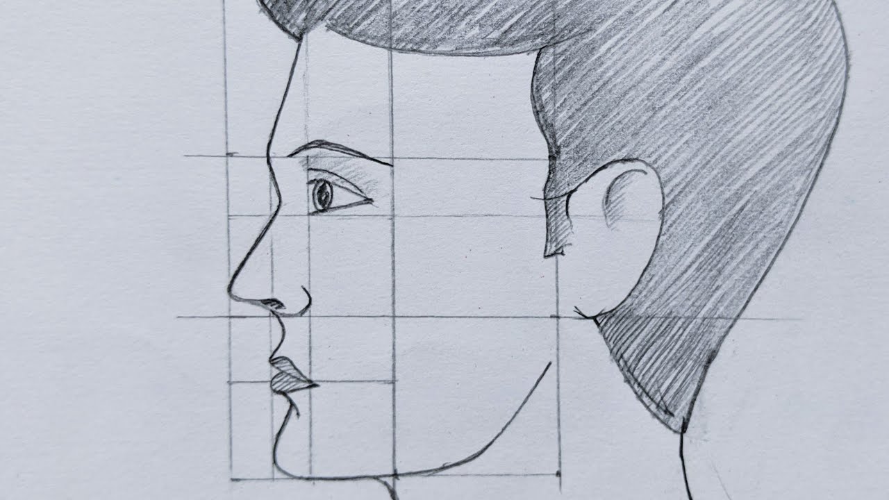 How to draw human face side view ||मानव मुखमंडल कैसे बनाएं || grid ...