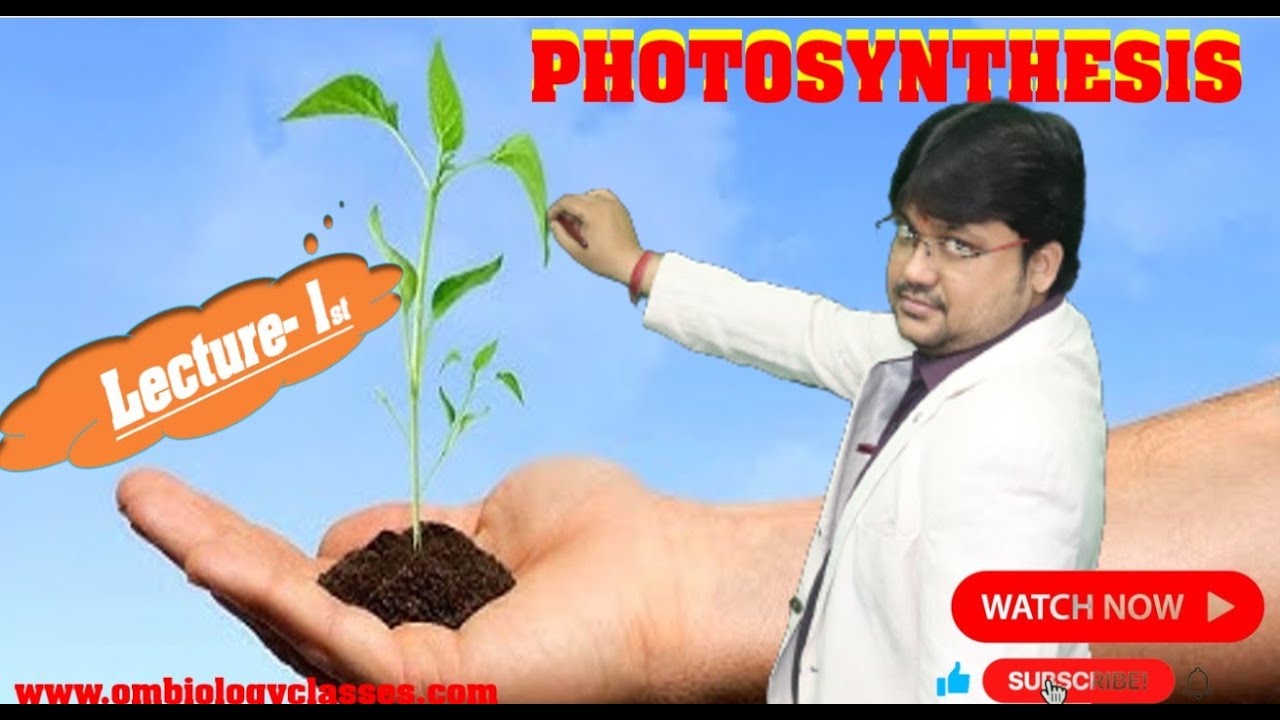 "Photosynthesis Explained: Introduction & Basics - Lecture 1" - YouTube
