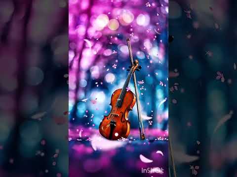 Kıymet bilmeyene.                              Söz yazarı Ceylan.C.Yilmaz