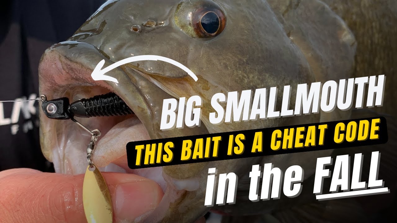 CHEAT CODE FOR BIG FALL SMALLMOUTH! Out-fish everyone with the Great ...