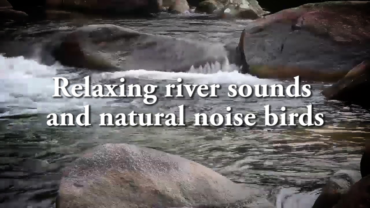 Relaxing river sounds and natural noise birds - YouTube