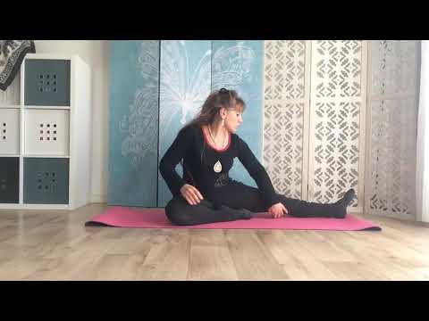 Cours de Hatha Yoga - Posture des gémeaux 2 - mini vidéo - Adeline Camus