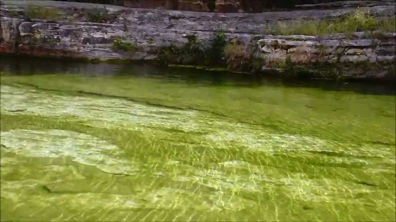Barton Springs Pool Underwater