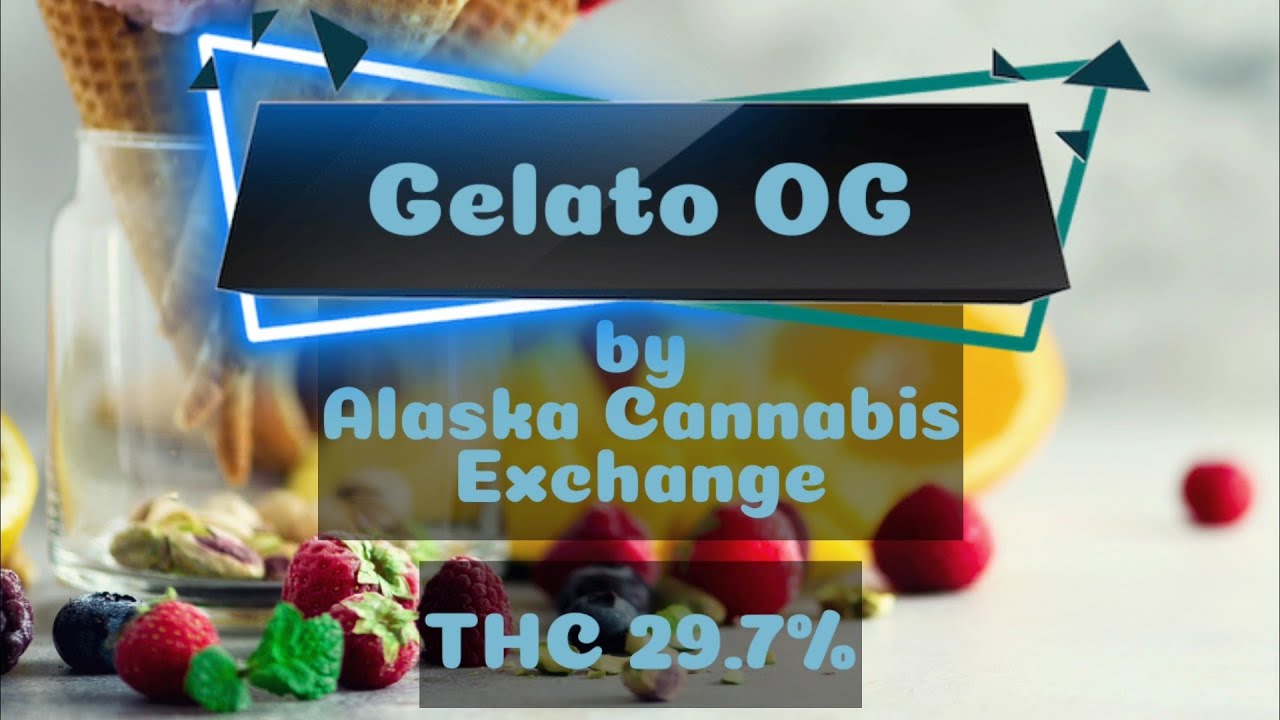 Gelato OG Strain Review - YouTube
