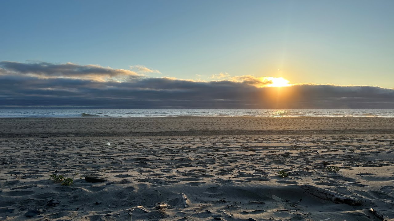 Oregon Beach Fun August of 2024 - YouTube