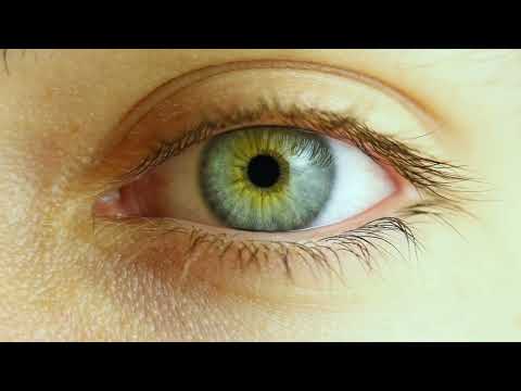 Viplak Vince - Timlessness