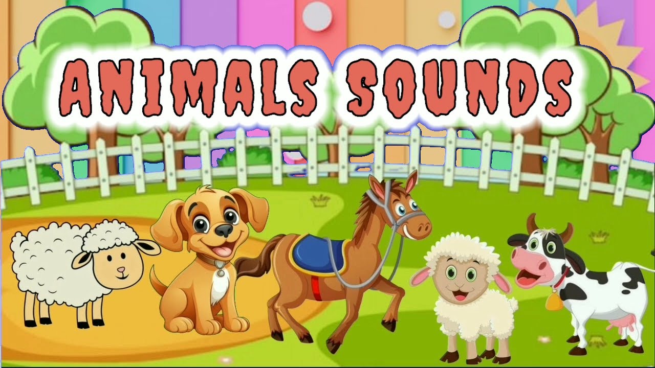 Animal Sounds Fun & Play | Alphabet Song For Kids - YouTube