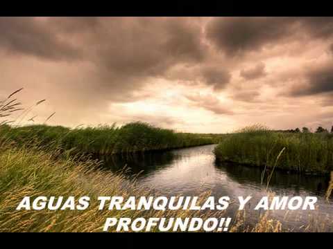 TE AMO AMOR.wmv