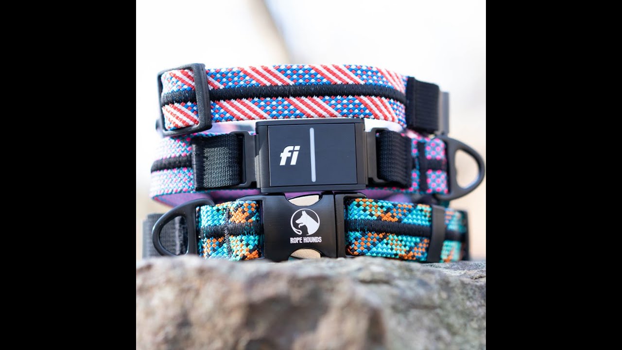 How to Attach the Fi Series 3 Module to your Rope Hounds Collar - YouTube