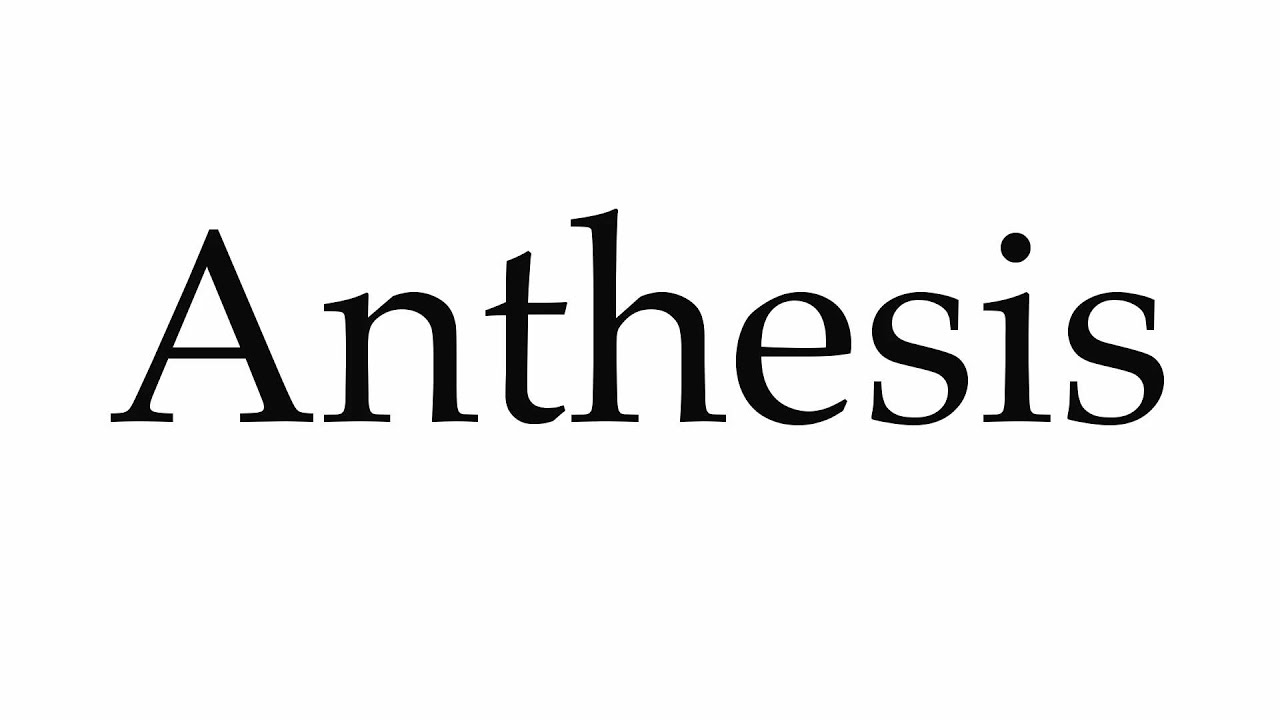 How to Pronounce Anthesis - YouTube