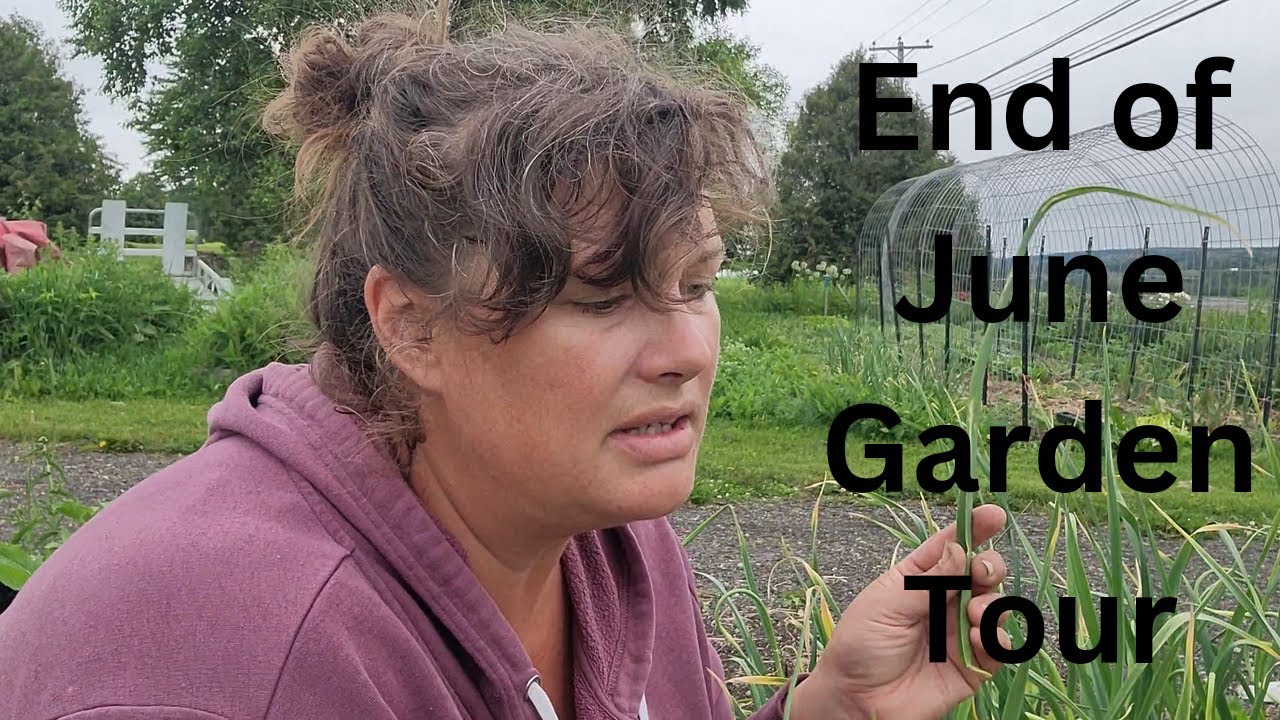 End of June Garden Tour 2023 | Leek Moth Damage and Control | Looking ...