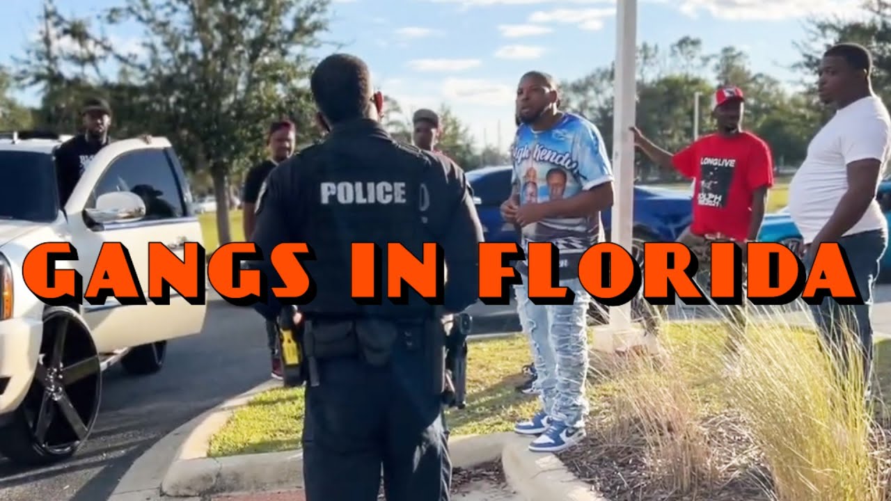 Law Enforcement In Florida Continues To Label GANG Banging As "Mass" or ...