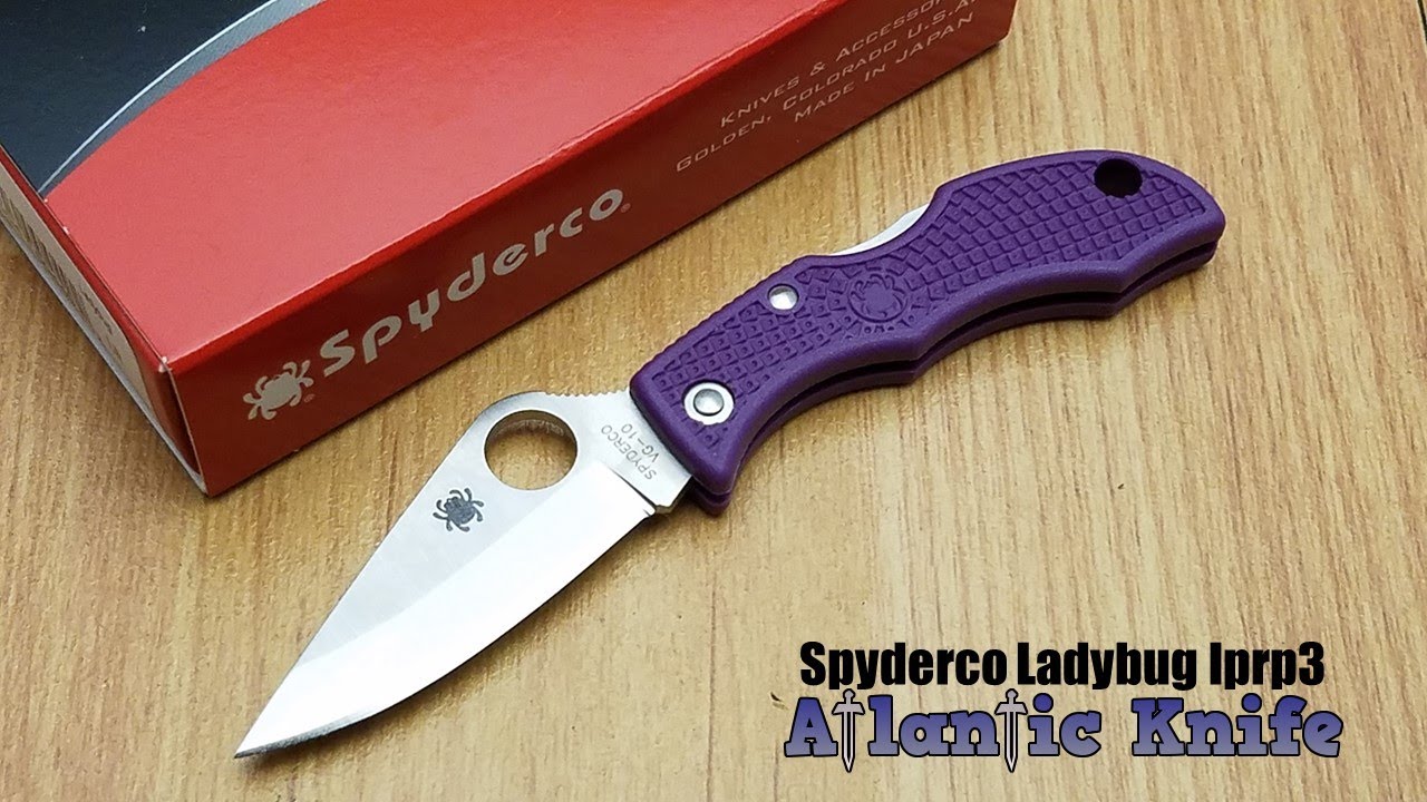 SPYDERCO LADYBUG 3 LOCKBACK VG-10 STAINLESS PURPLE FOLDING POCKET KNIFE ...
