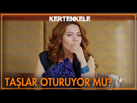 Zehra bir şeyler öğrendi - Kertenkele 36. Bölüm