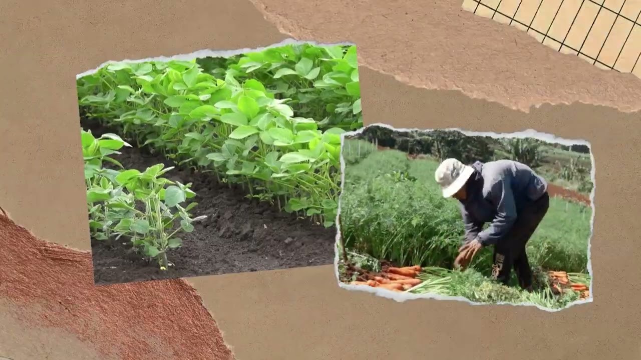 328 Conservation Crop Rotation Plan How To Apply For EQIP Funding For