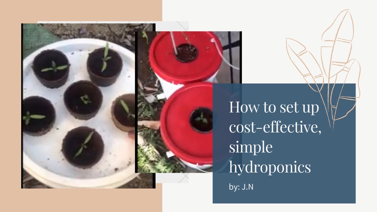 How to set up hydroponics - YouTube
