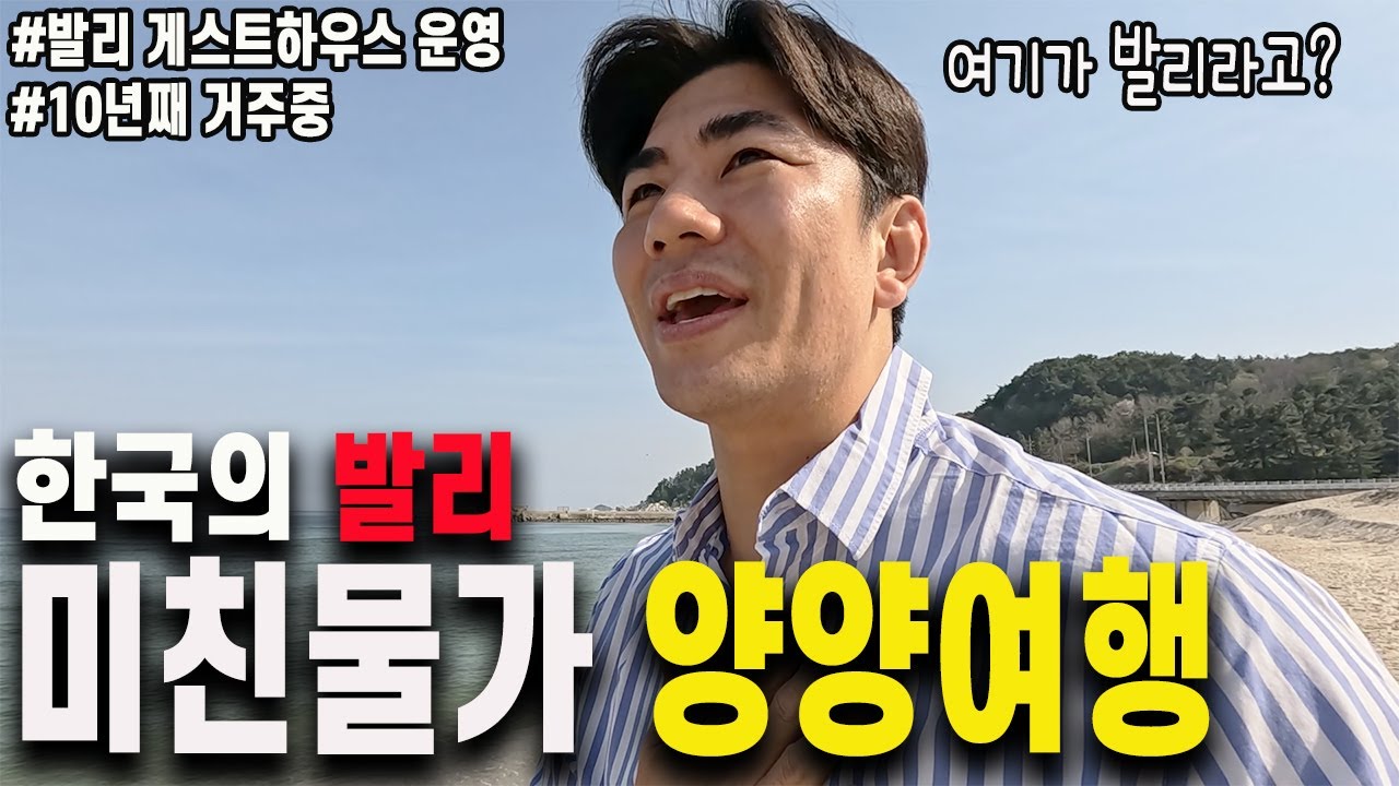 인도네시아 발리 10년차 외노자 양양 물가 경험하고 충격 먹었습니다 헌터퐝 털형 까망형 Youtube