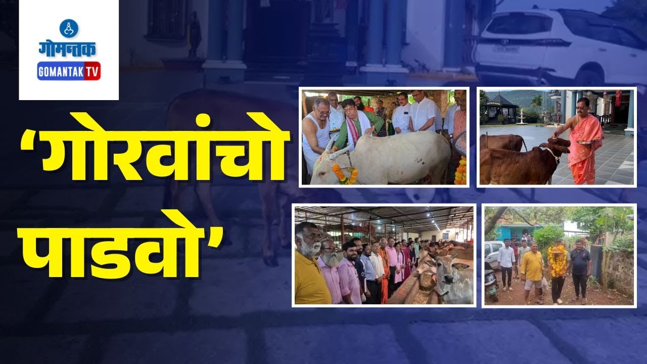 Gorvancho Padwo in Goa - राज्यांत मनयलो ‘गोरवांचो पाडवो’ | Gomantak TV ...
