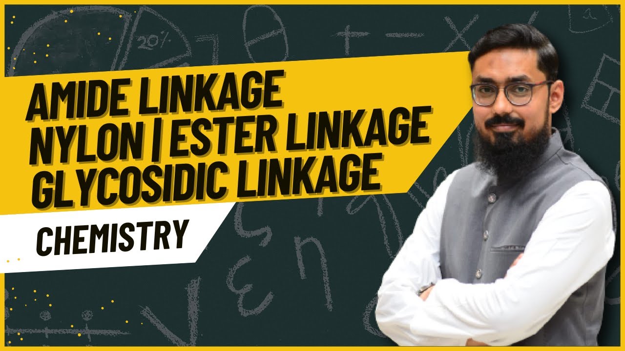 Amide Linkage | Nylon | Ester Linkage | Glycosidic Linkage - YouTube