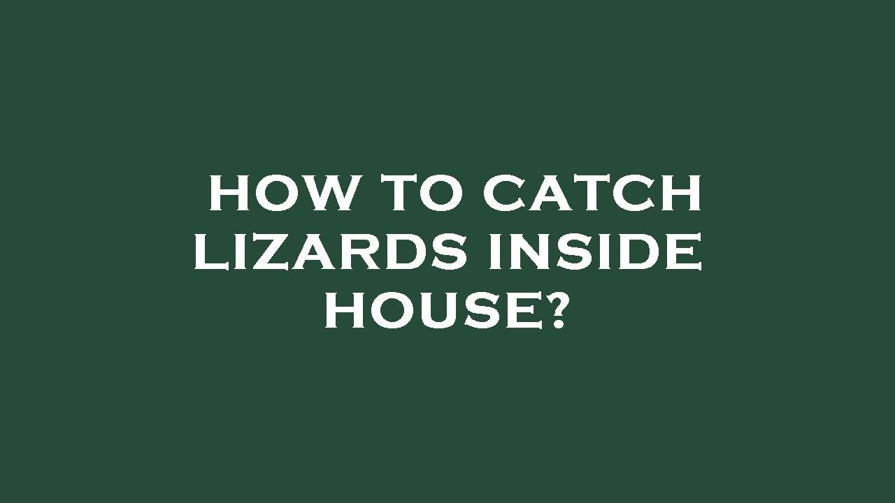 How to catch lizards inside house? - YouTube
