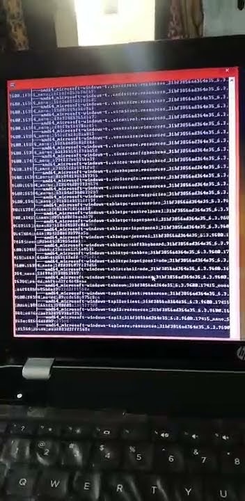 Programmer Lifeprogrammer Programmerlifecmdpythonhackingethicalhackercomputerscience
