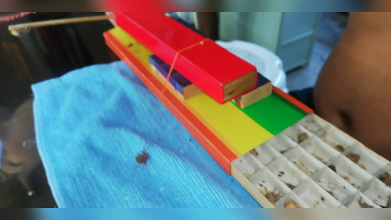 SAMON G FROM SPIDER DOC | VLOG #7 - YouTube