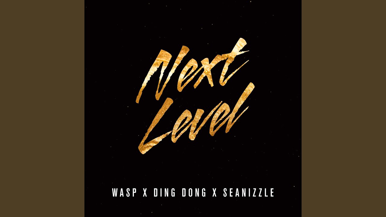 Next Level - YouTube