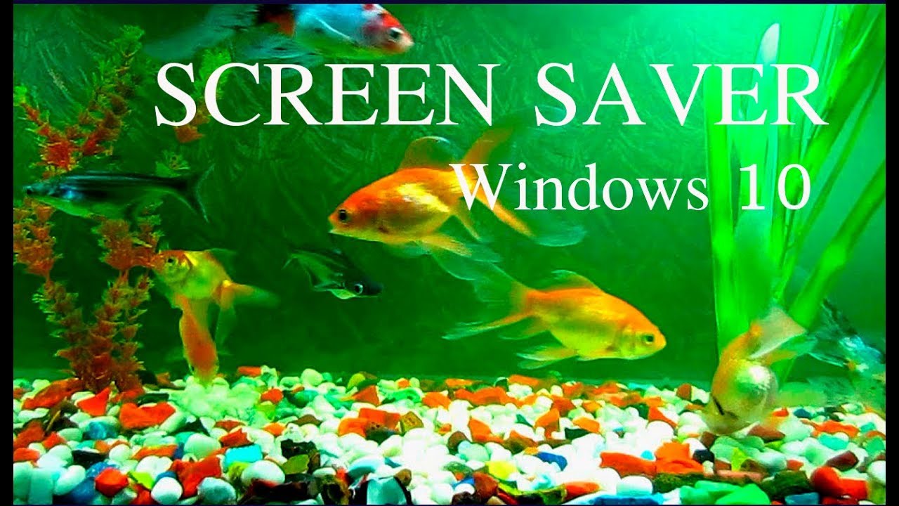 Windows 10 เปิดใช้งาน screen saver ง่ายนิดเดียว - YouTube