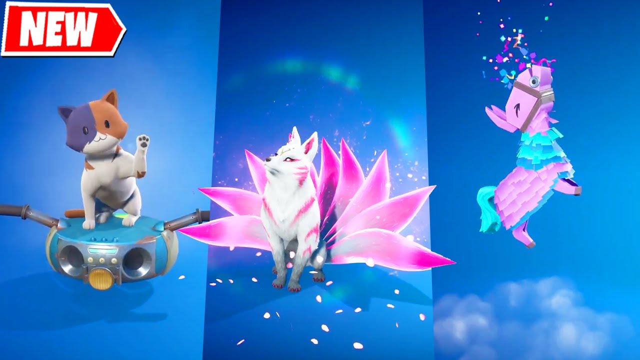 All NEW Sidekicks/Pets Emotes - YouTube
