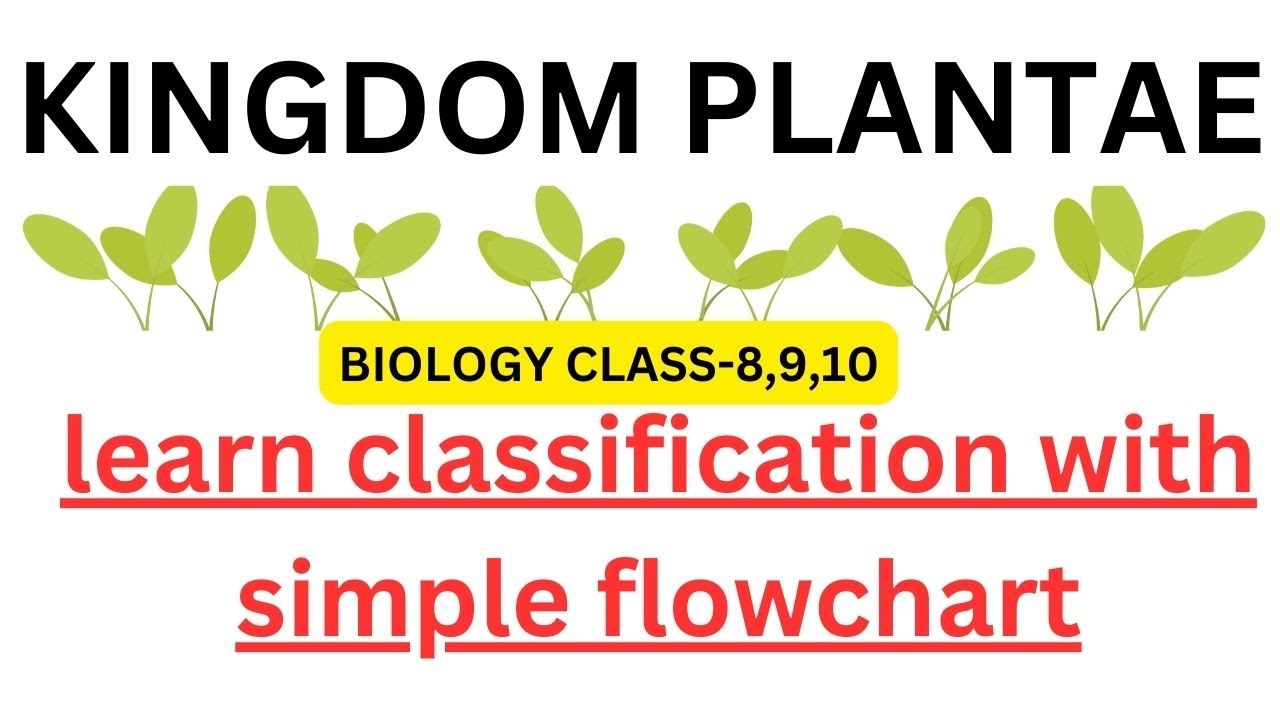 Classification of Plants | Class 8 | Class 9| Class 10| Science | MH ...