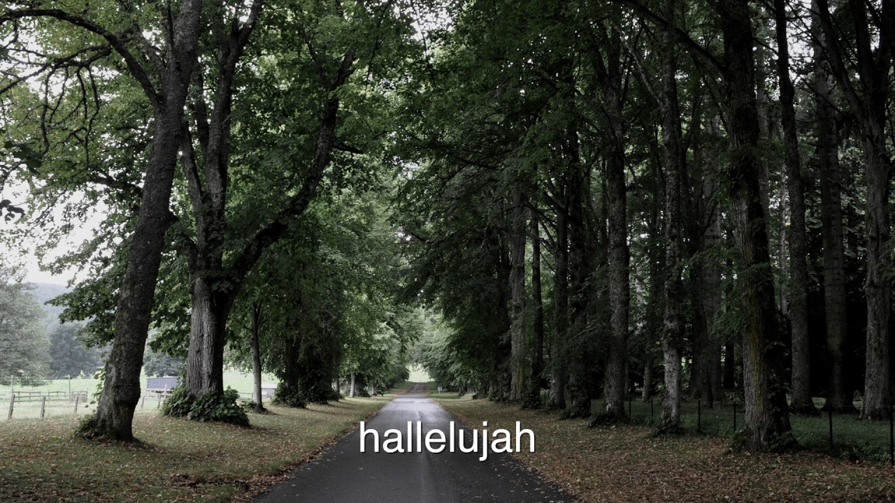 Resurrection Power Lyric Video - Chris Tomlin - YouTube