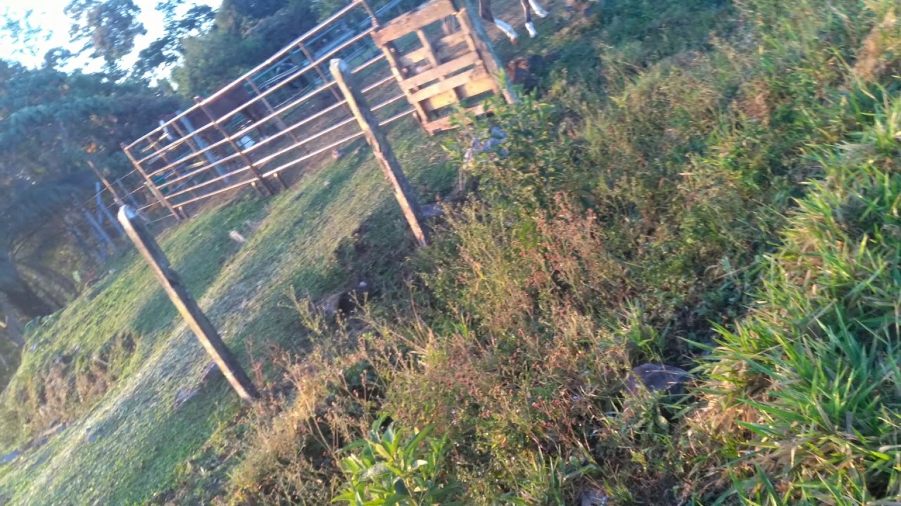 Cascadas Brazos del río Gariché con Roylenis - YouTube